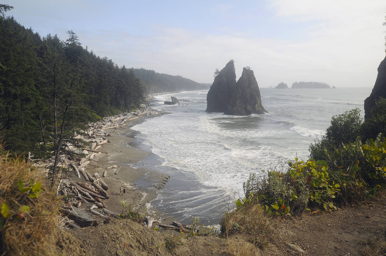 Perspectives series leads to mysteries of Rialto Beach | Sequim Gazette
