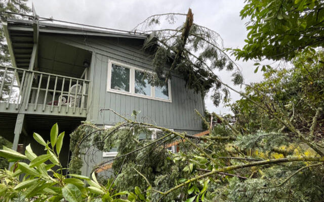 Get It Growing: Fall, winter berry care | Sequim Gazette