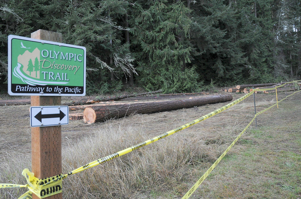 Storm damage closes Robin Hill park | Sequim Gazette