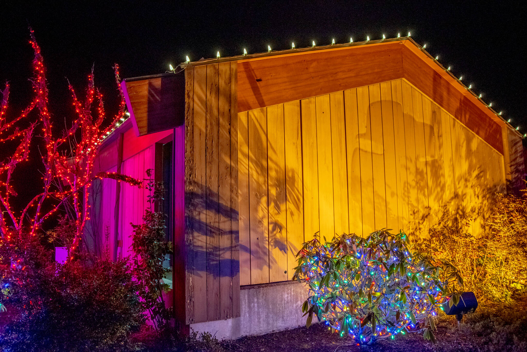 PHOTOS: Blyn albaze with festive light displays | Sequim Gazette