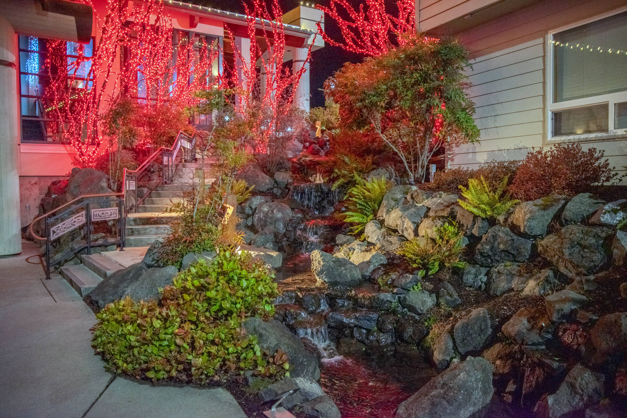 PHOTOS: Blyn albaze with festive light displays | Sequim Gazette