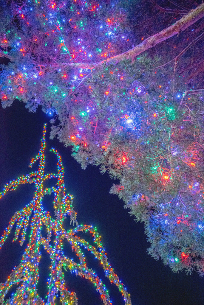PHOTOS: Blyn albaze with festive light displays | Sequim Gazette