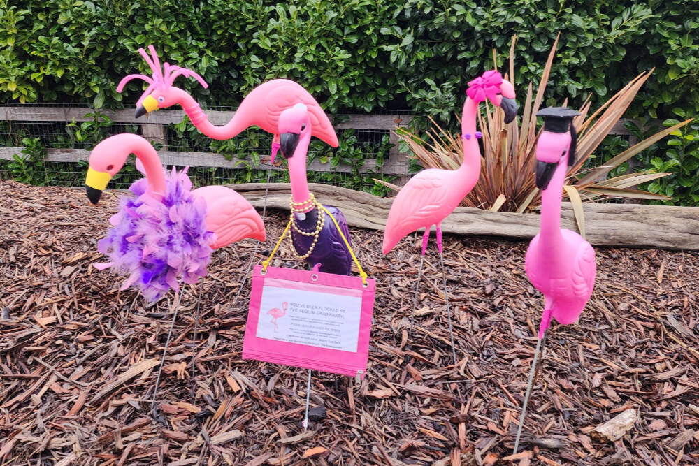 Flamingo Flocking Ideas