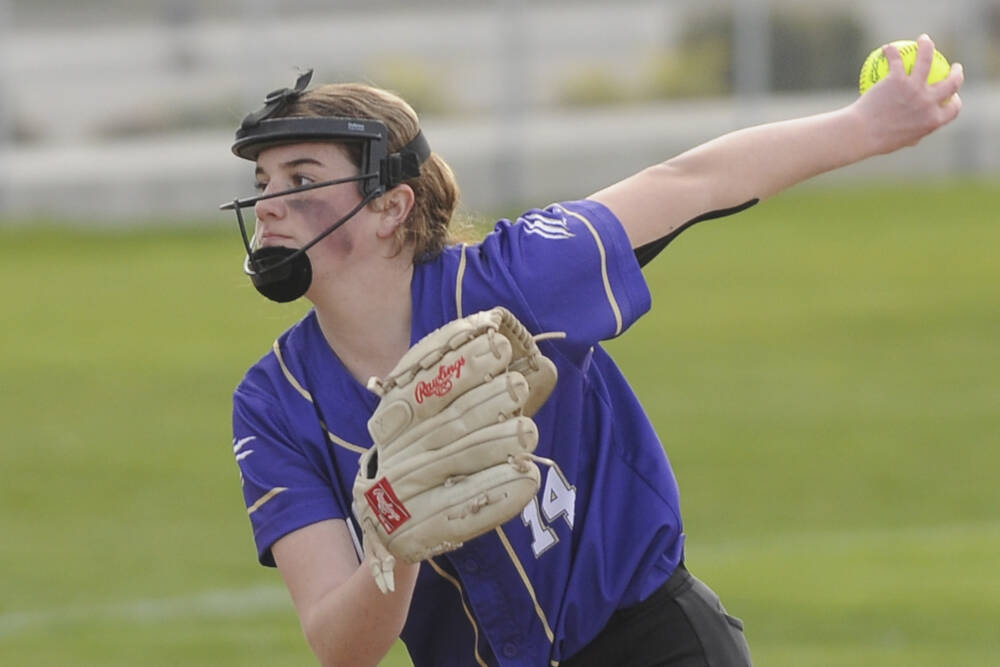 Spring sports preview: Experienced SHS fastpitch squad takes to diamond ...