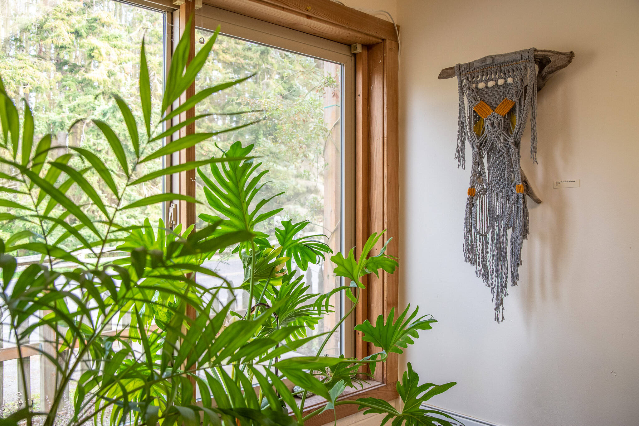 Local artist sets debut show at Dandelion Botanical | Sequim Gazette