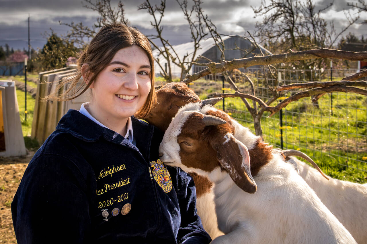 Milestone: SHS senior Adolphsen earns state FFA honor | Sequim Gazette