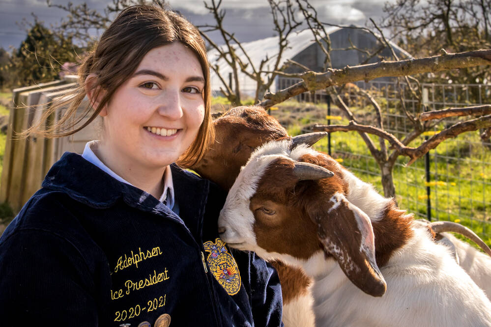 Milestone: SHS senior Adolphsen earns state FFA honor | Sequim Gazette
