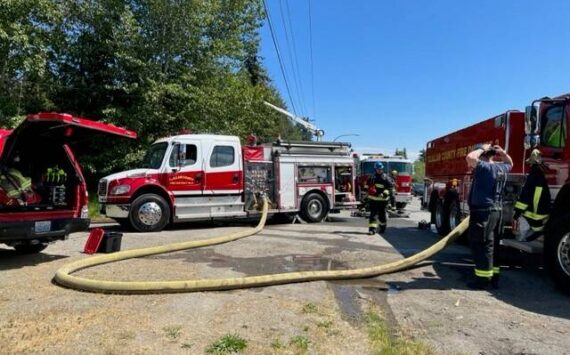 Get It Growing: Vegetable garden soil: More than meets the eye | Sequim ...