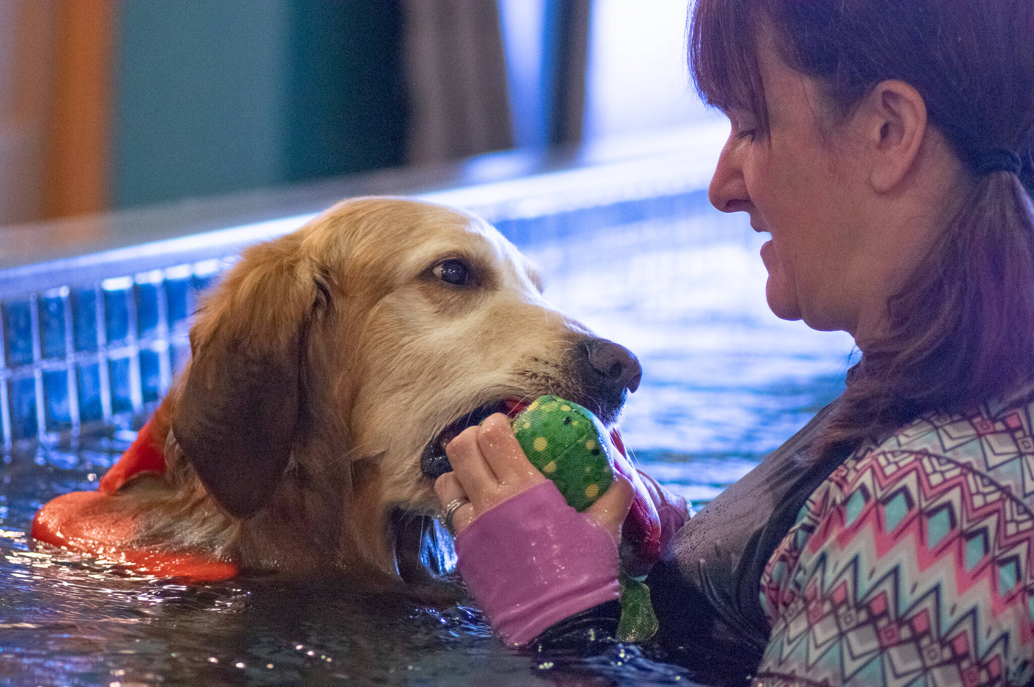 Healing waters for our canine companions | Sequim Gazette