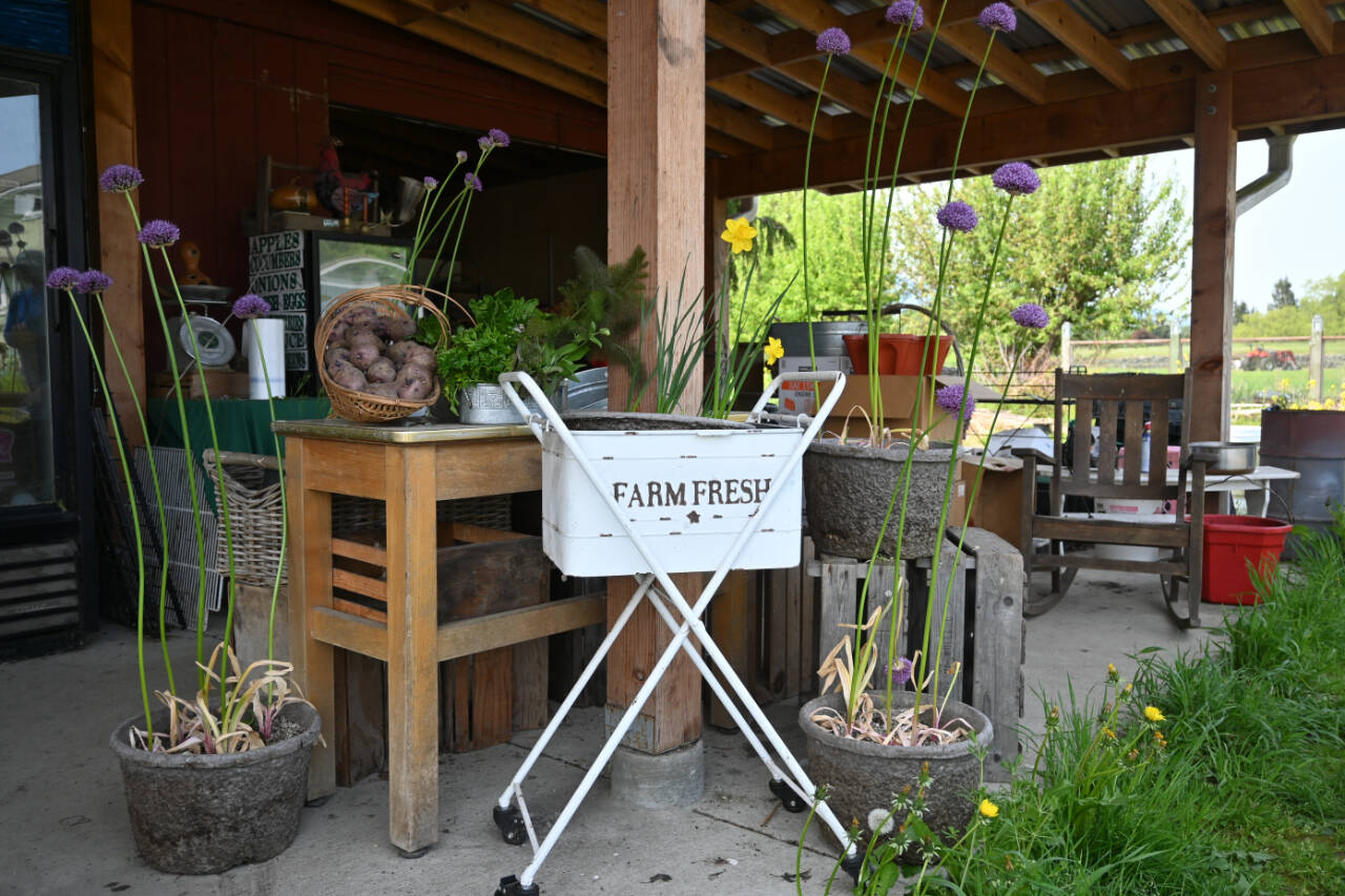 Living on the Peninsula: Fresh finds at Peninsula markets, farmstands ...