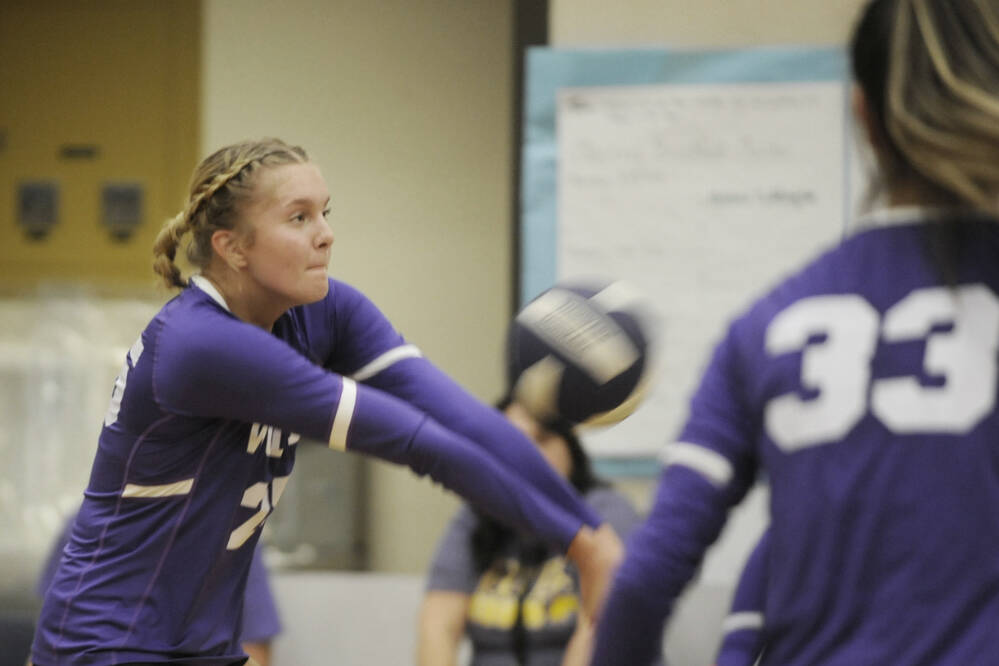 Fall sports preview: Vaara to lead ‘young’ Wolves volleyball squad in ...