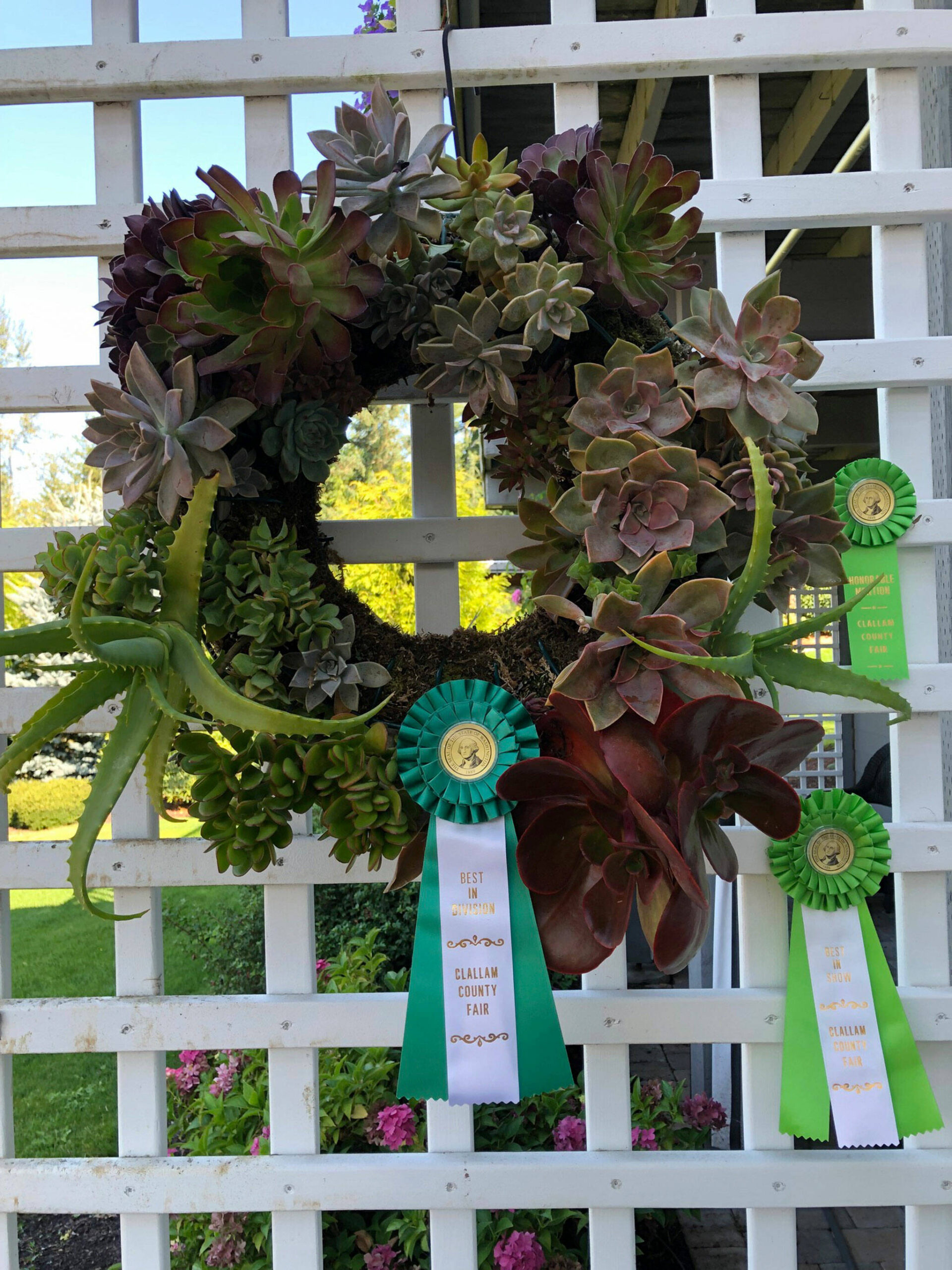 Sequim Prairie Garden club wins big awards at county fair | Sequim Gazette