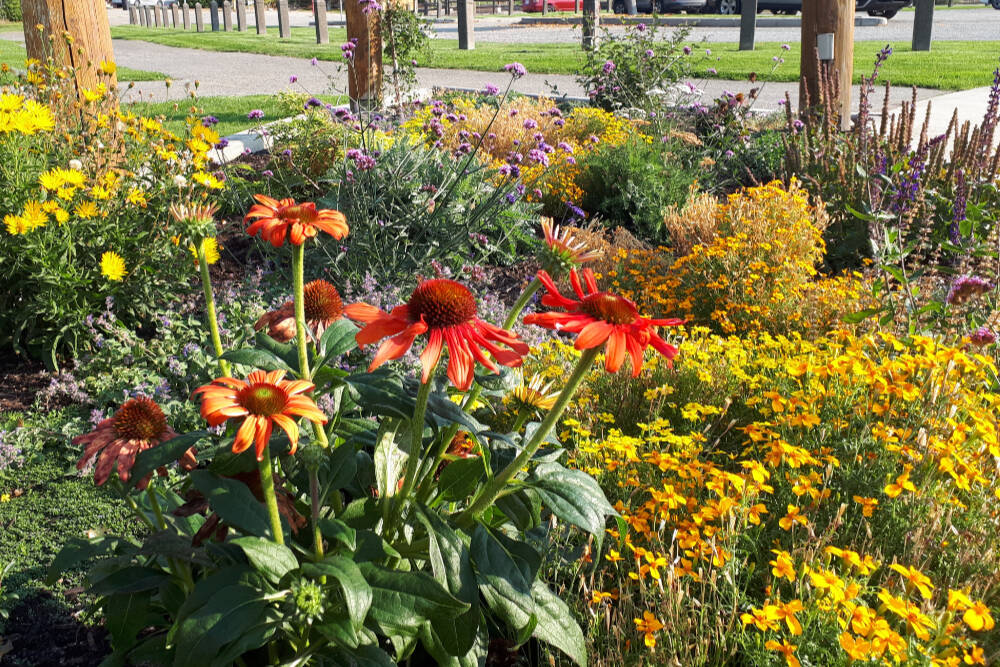 Get It Growing: October in the garden | Sequim Gazette