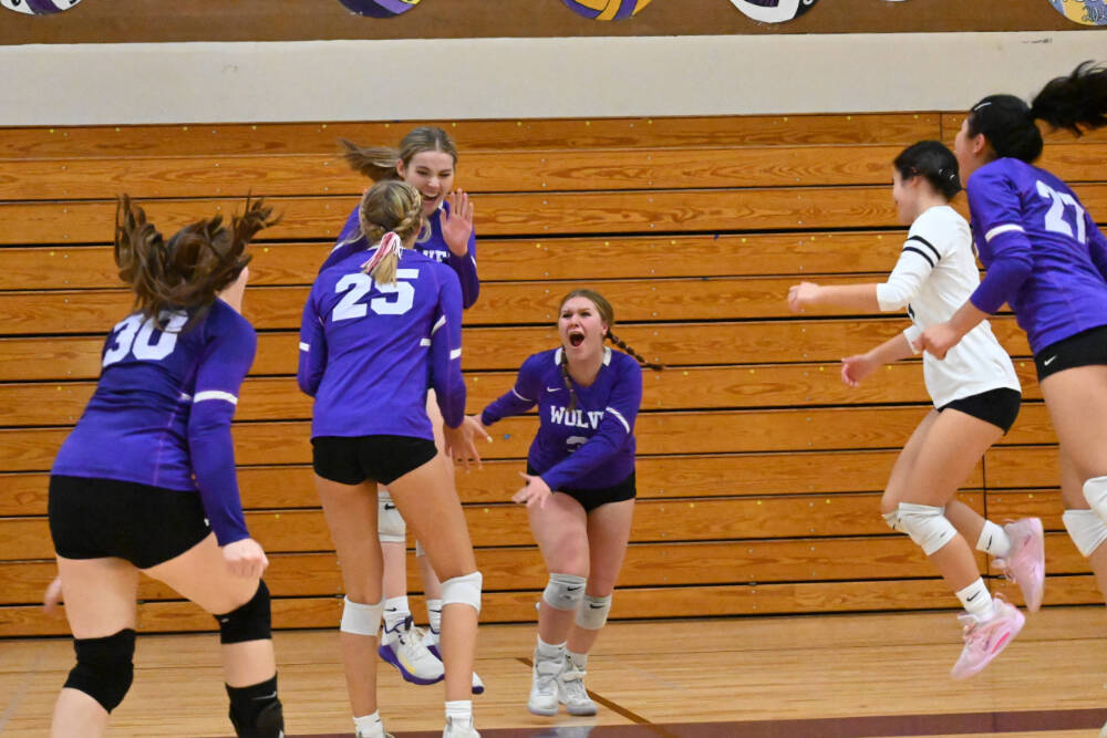 Volleyball: Wolves sweep Riders, edge Trojans in 5 | Sequim Gazette