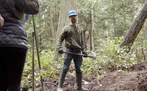 Get It Growing: Vegetable garden soil: More than meets the eye | Sequim ...