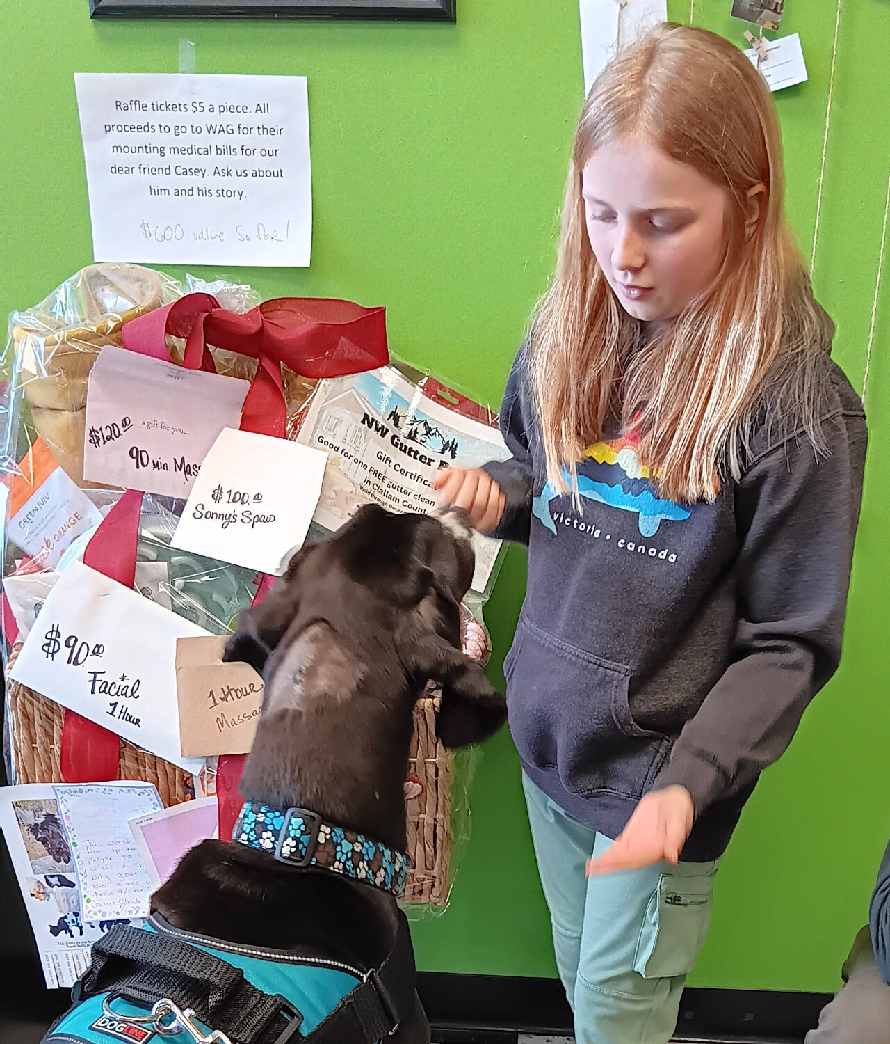 Recovering WAG dog celebrates with community | Sequim Gazette
