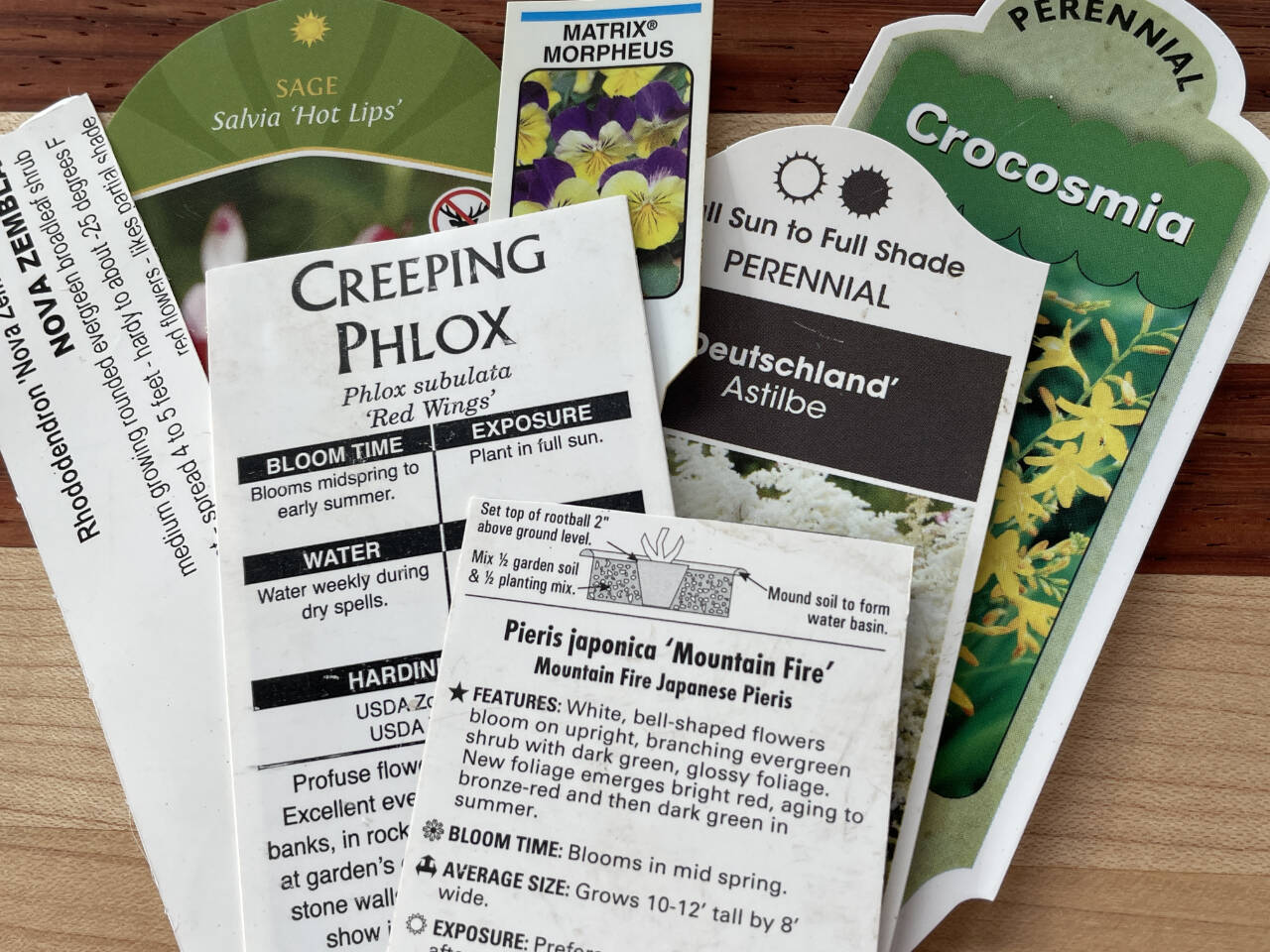 Get it Growing: Plant tags are a gardener’s best friend | Sequim Gazette