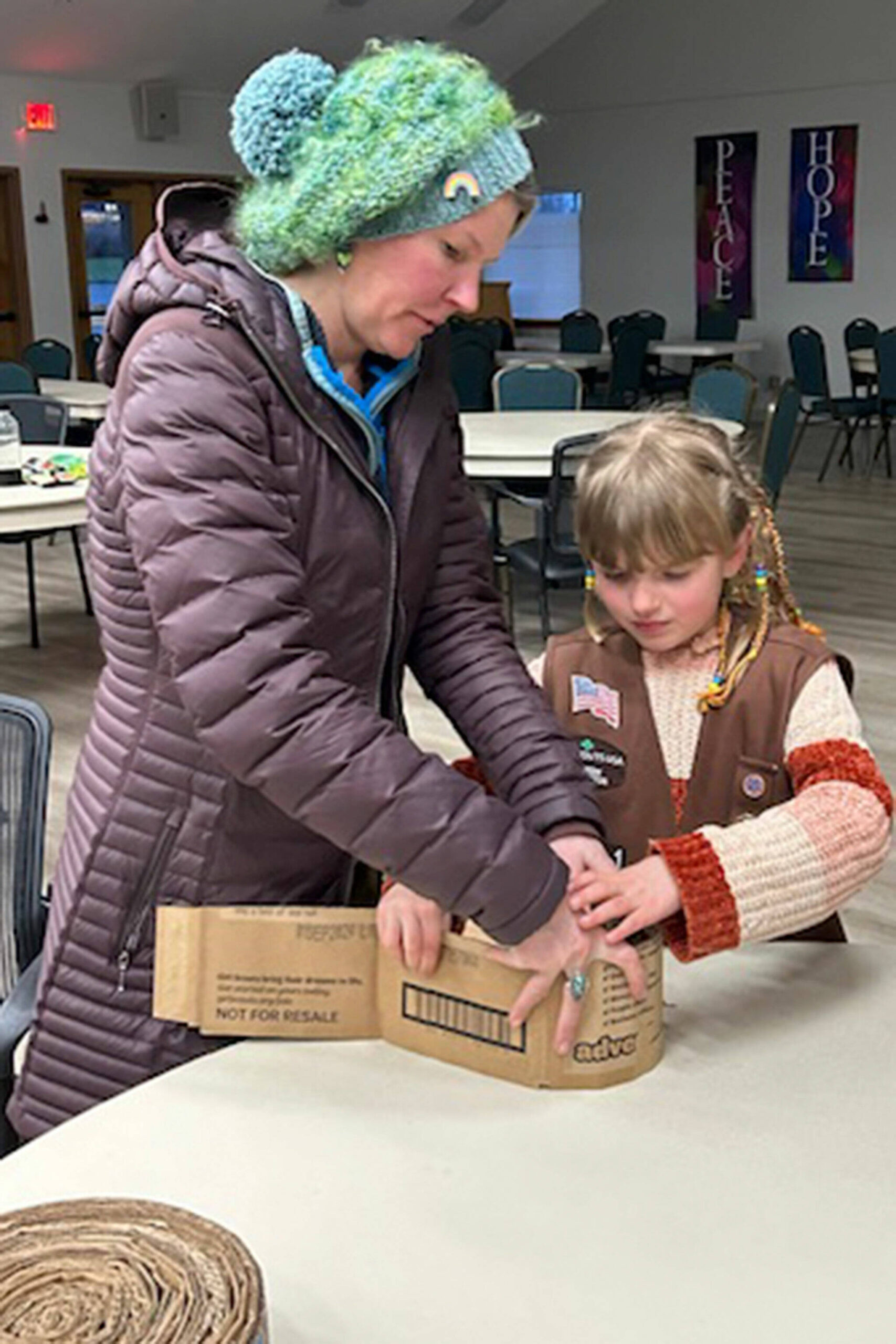 Sequim Girl Scout troop turns cookie boxes into cat scratchers | Sequim ...