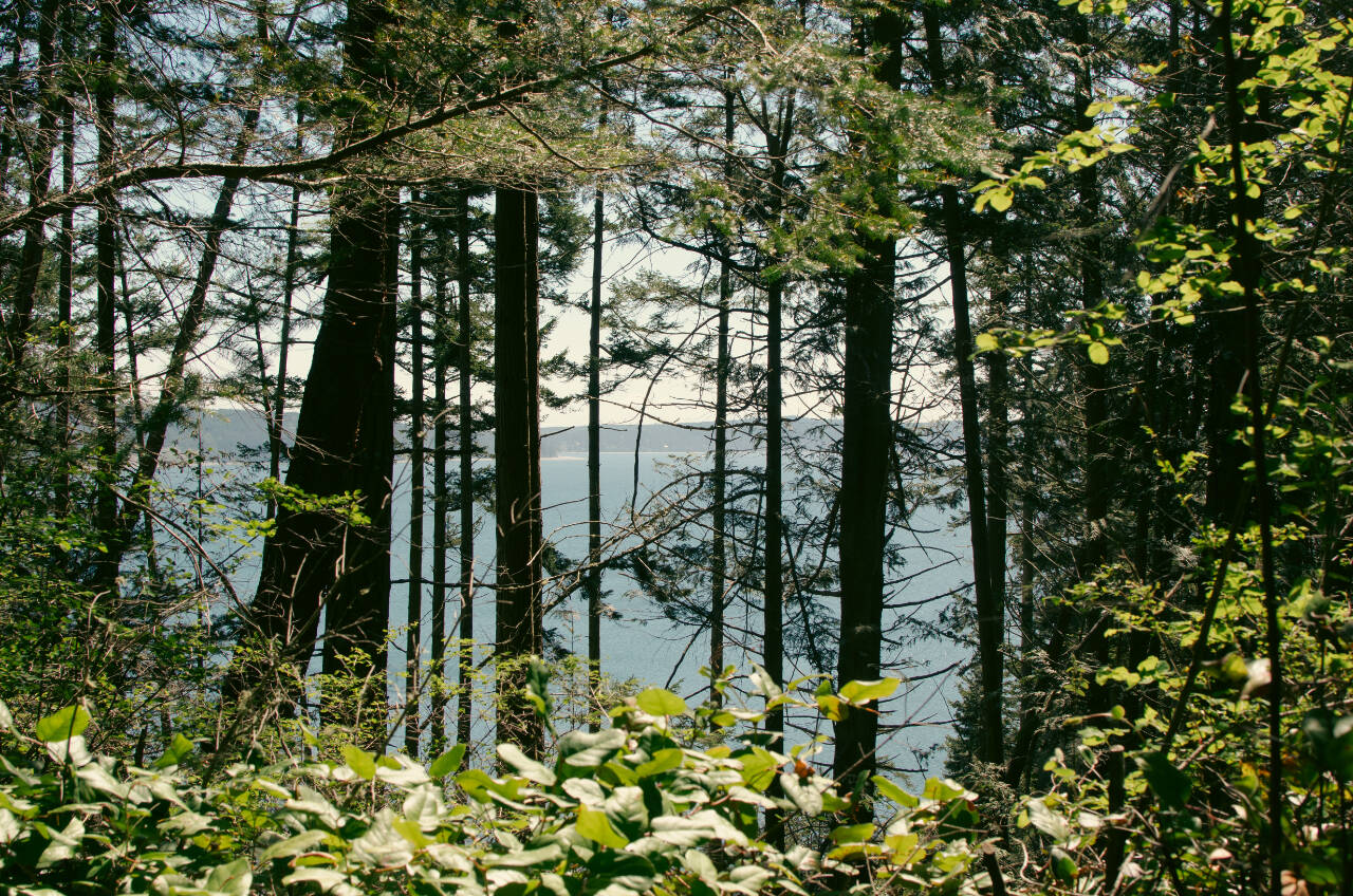 Transmissions from the Trail #1: The Bumbling Fool | Sequim Gazette