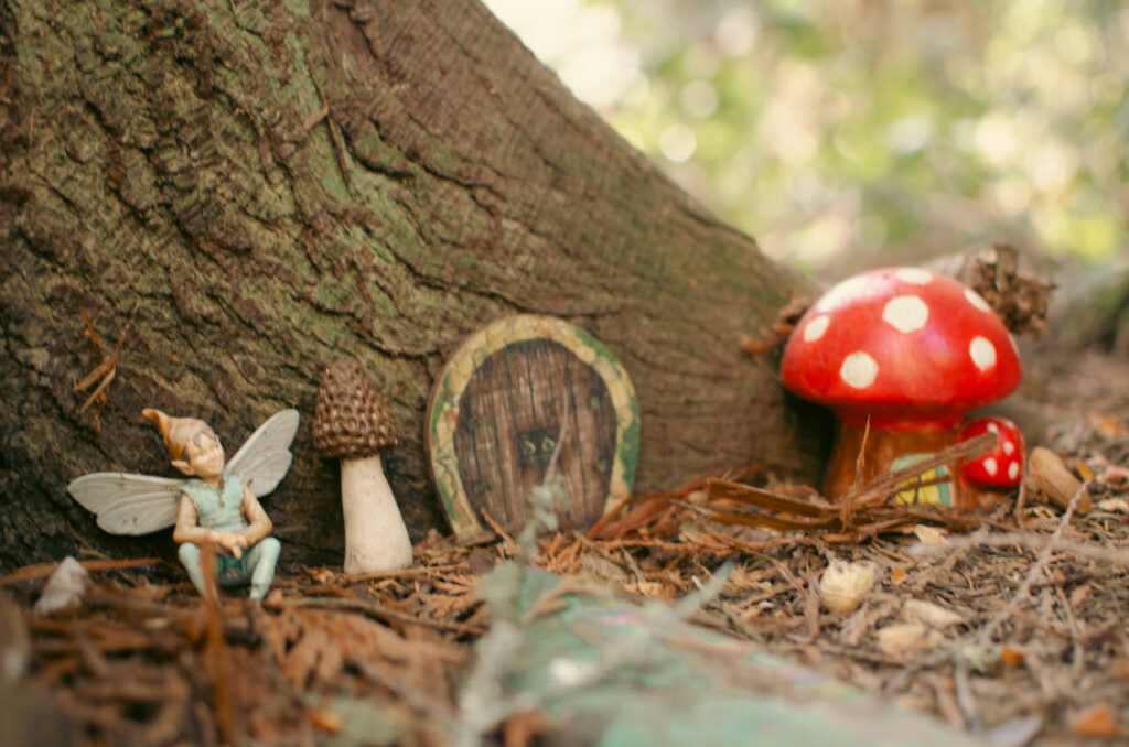 Transmissions from the Trail #1: The Bumbling Fool | Sequim Gazette