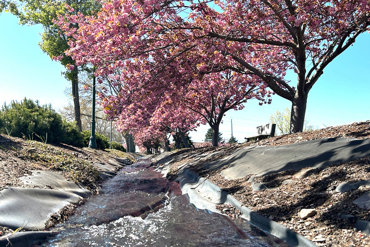 Plan to pipe original Sequim irrigation ditch could be reinstated | Sequim Gazette