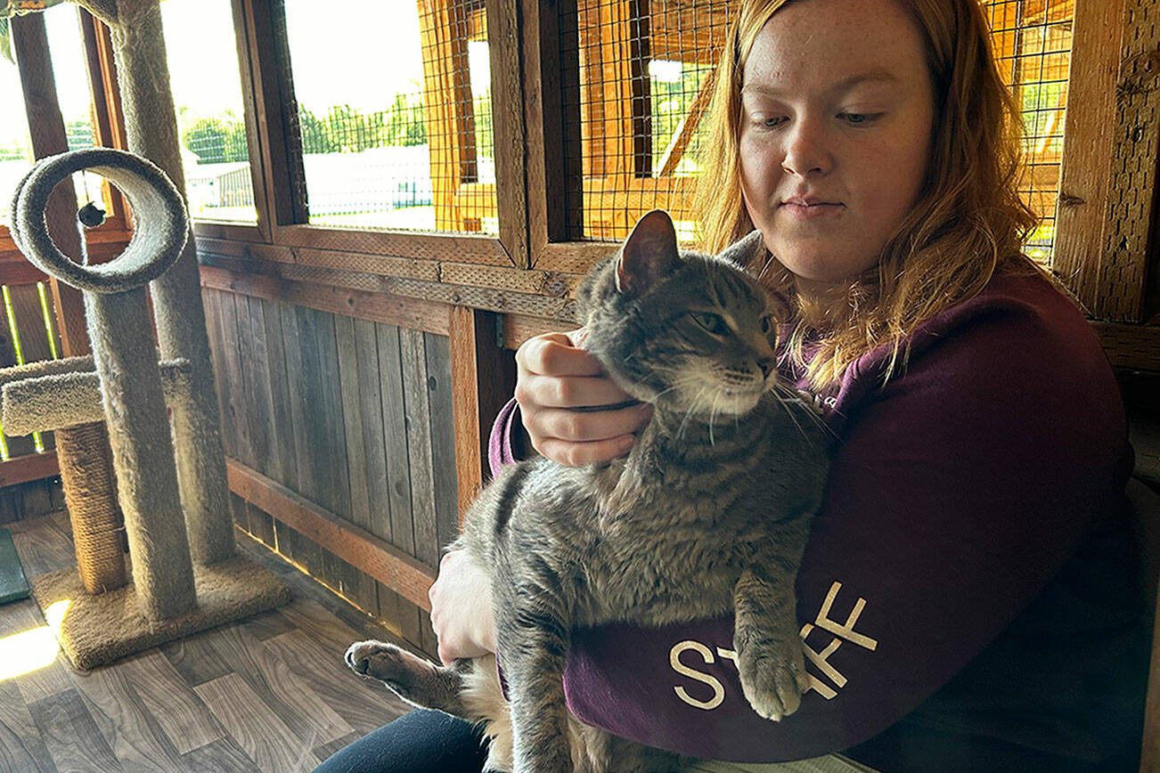 Humane Society reopens campuses to walk-in adoptions | Sequim Gazette