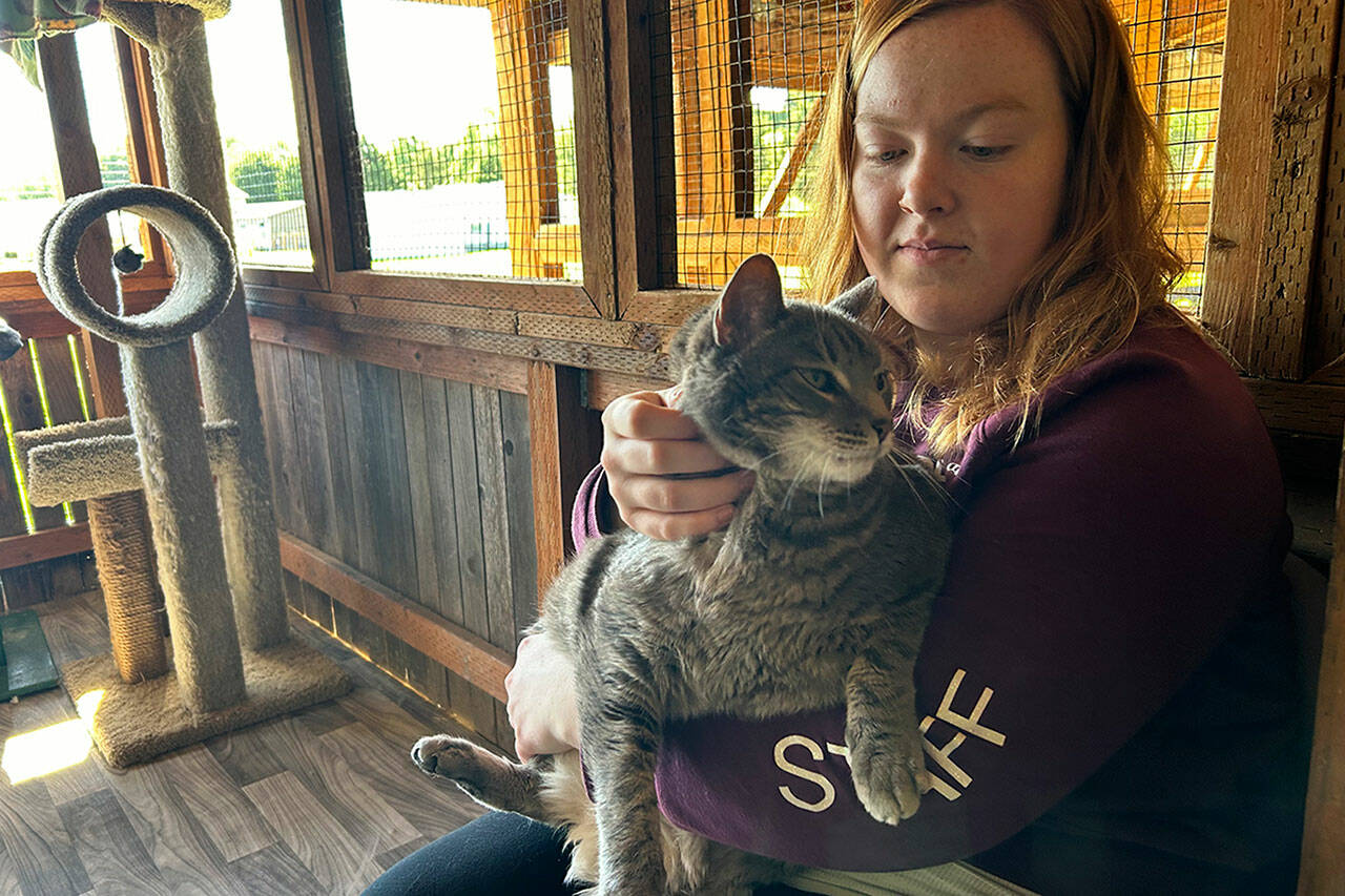 Humane Society reopens campuses to walk-in adoptions | Sequim Gazette