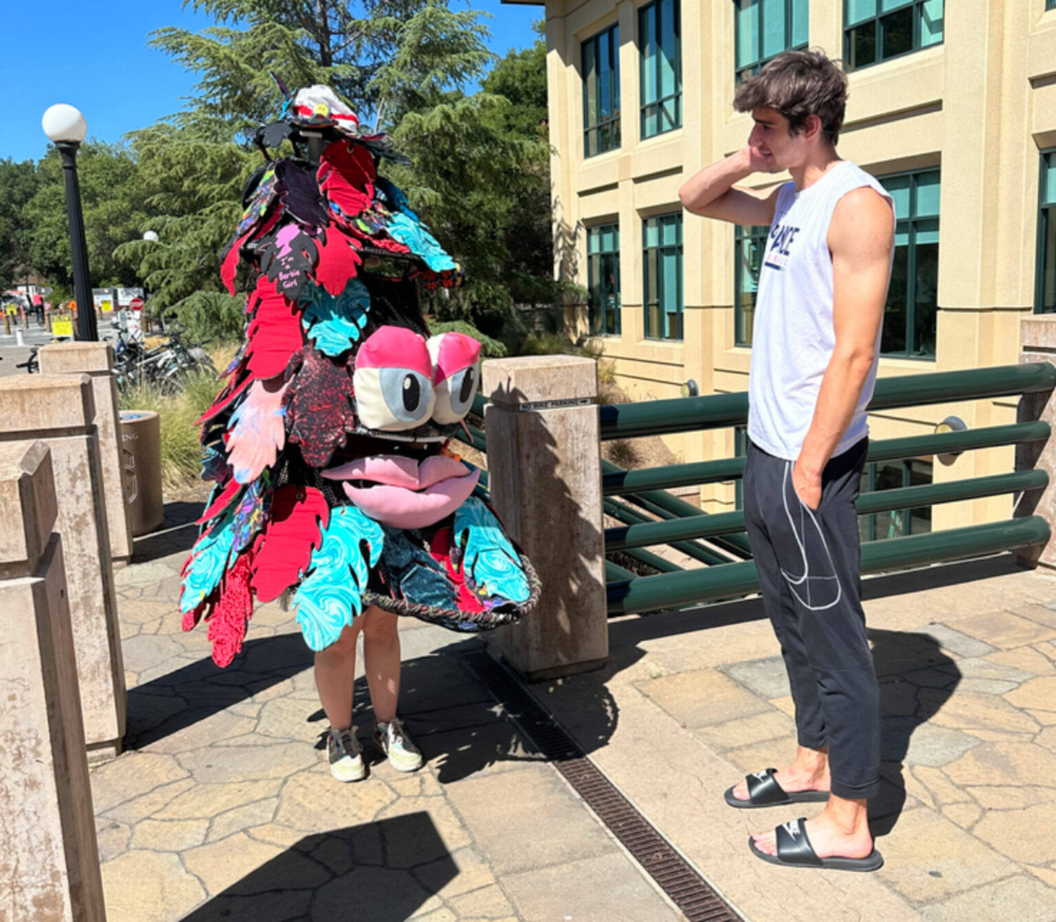 Sequim grad to appear at Olympic Games as Stanford University ‘Tree ...