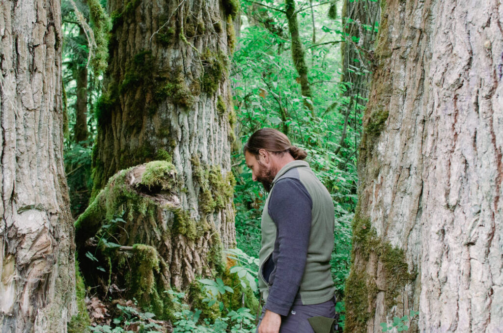 Transmission from the Trail #4: The Archivist | Sequim Gazette