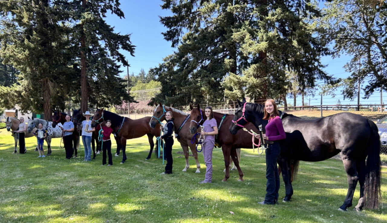 Local riders vie for titles at annual 4-H Horse Show | Sequim Gazette