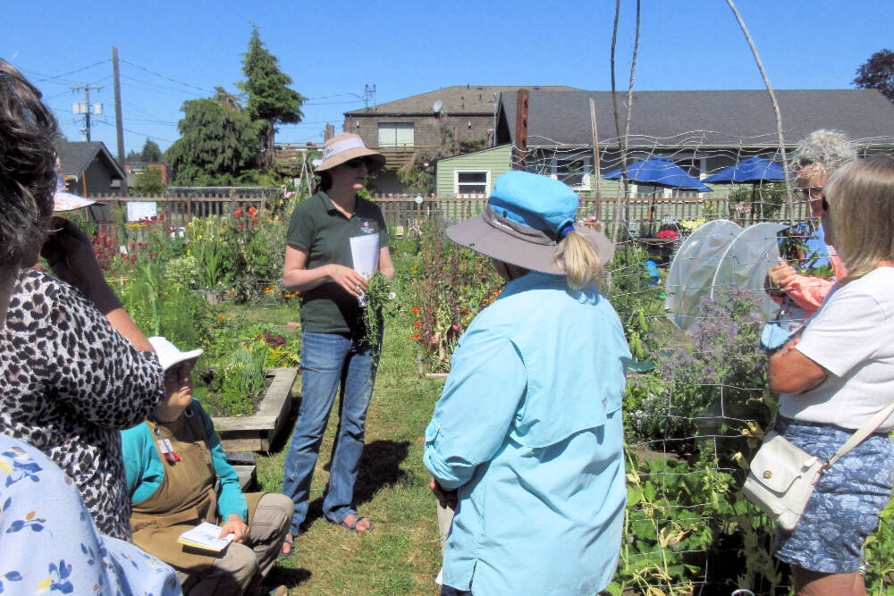 Second Saturday Garden Walk to spotlight good local growers | Sequim ...