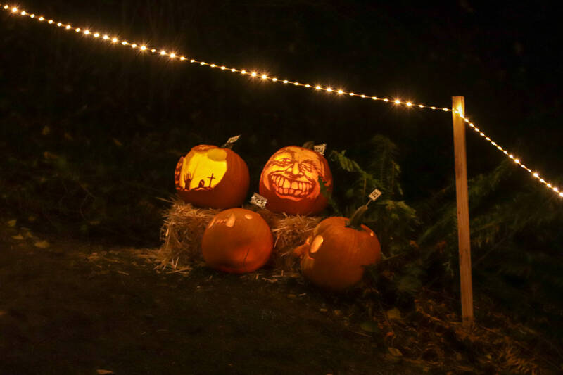 PAFAC packs full lineup for fall fest | Sequim Gazette