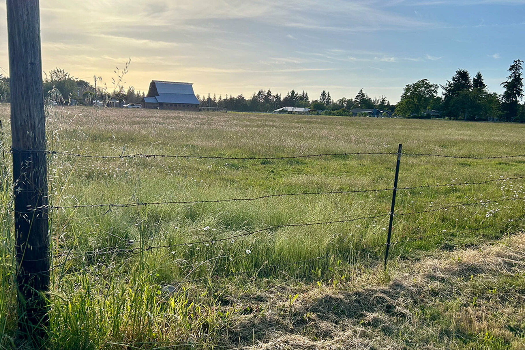 City to dedicate new Ruth C. McCord Memorial Park | Sequim Gazette