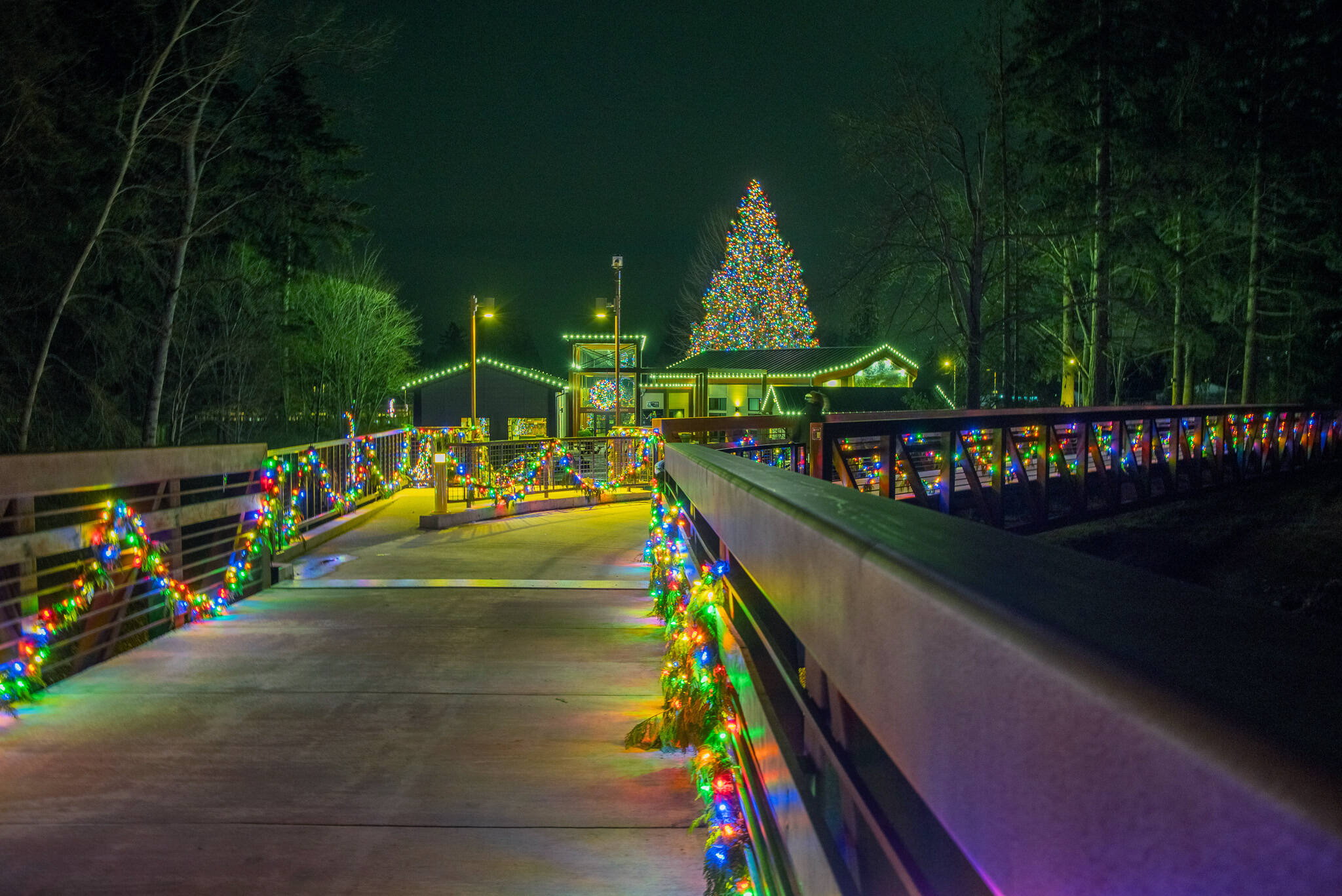 A holiday glow and guessing game | Sequim Gazette