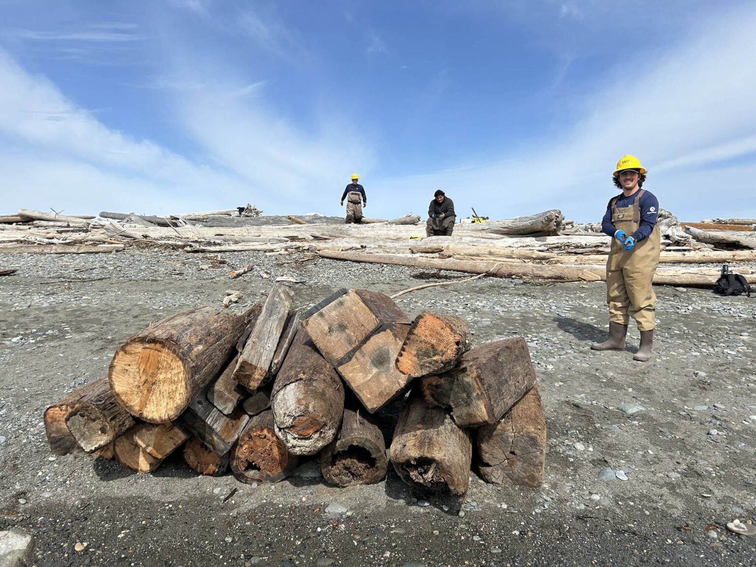 Nine-plus tons of contaminated wood removed from Dungeness Spit ...