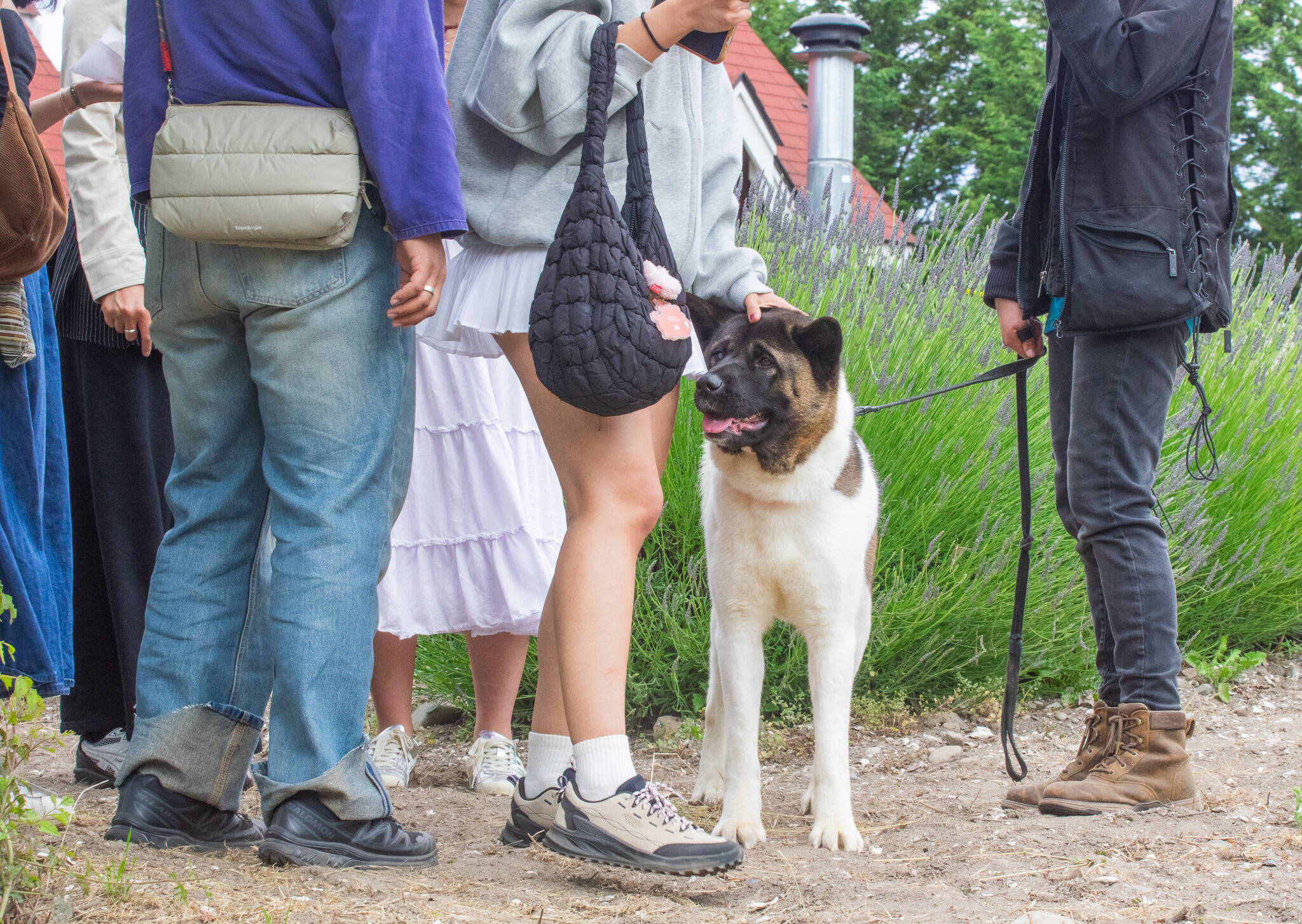Love blossoms at Barks and Blooms event | Sequim Gazette