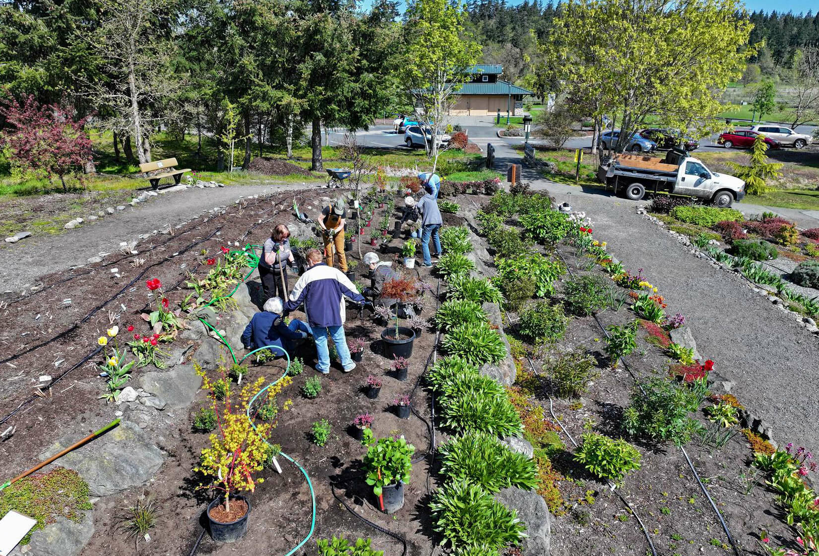 Sequim Botanical Garden Society unveils new garden | Sequim Gazette
