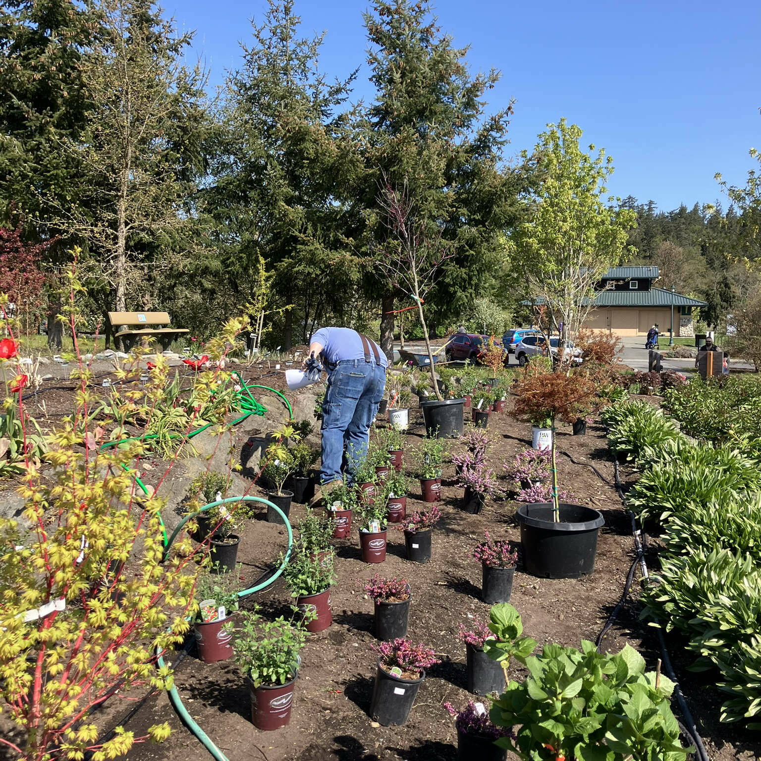 Sequim Botanical Garden Society unveils new garden | Sequim Gazette