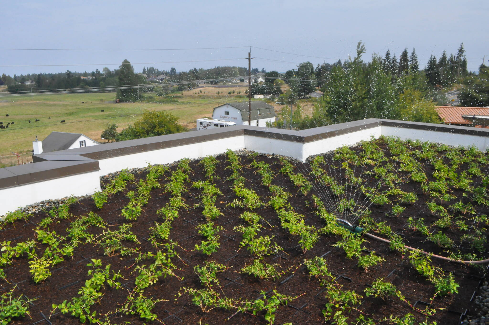 Holiday Inn Express finishes sizable remodel | Sequim Gazette