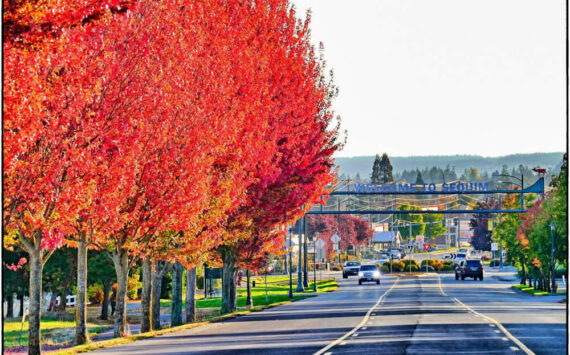 Sequim, WA news, sports, business and classifieds from Sequim Gazette