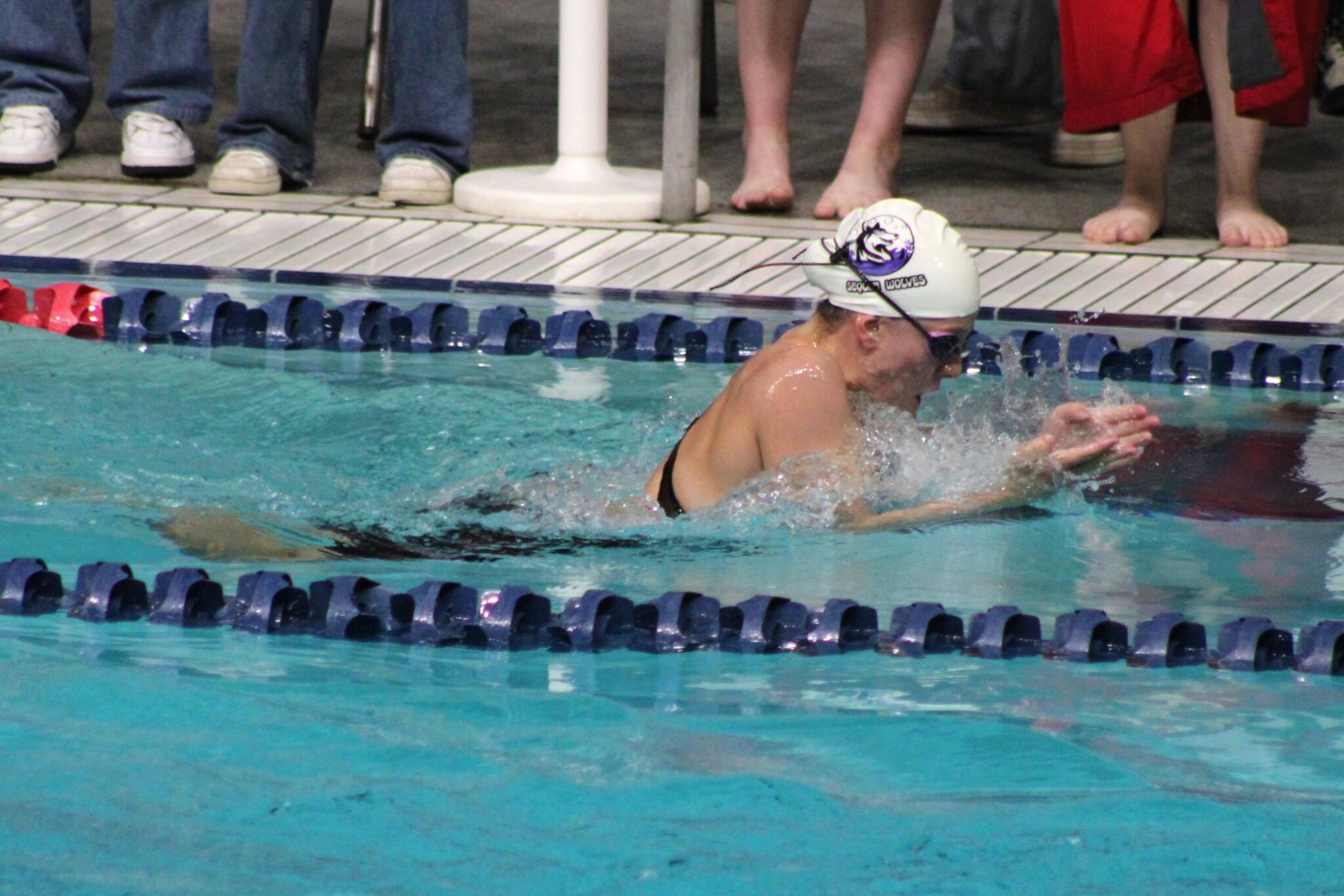 Shinkle, Ellefson medal at state swim meet | Sequim Gazette
