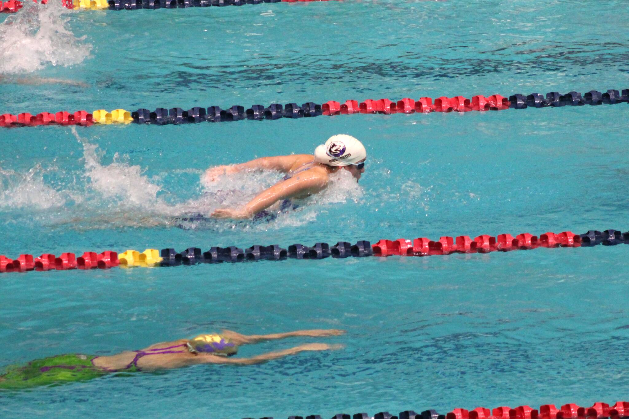 Shinkle, Ellefson medal at state swim meet | Sequim Gazette