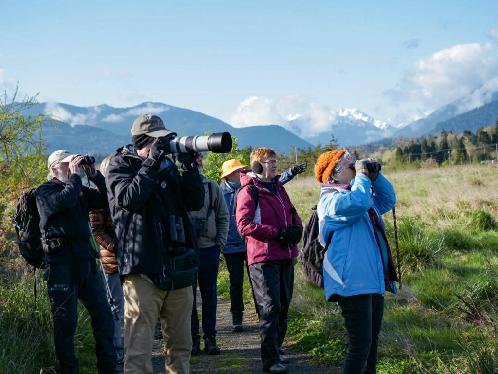 Registration now open for Olympic Birdfest 2026 | Sequim Gazette