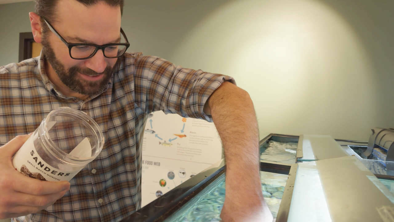 River Center receives 500 coho salmon eggs | Sequim Gazette