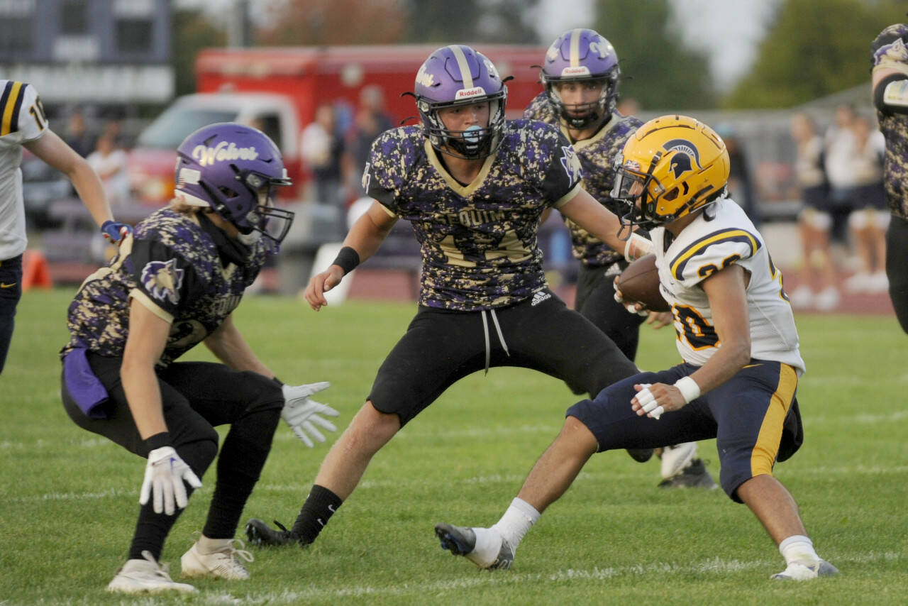 All-Olympic Football squad includes multiple Wolves | Sequim Gazette