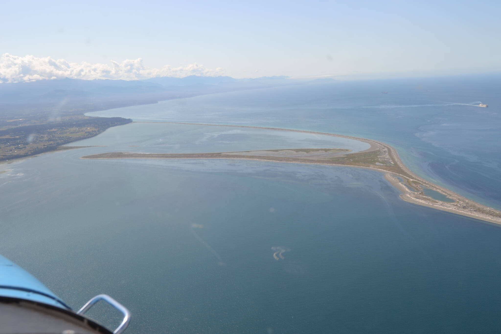 Jamestown seeks land transfer of Dungeness Refuge, Protection Island ...